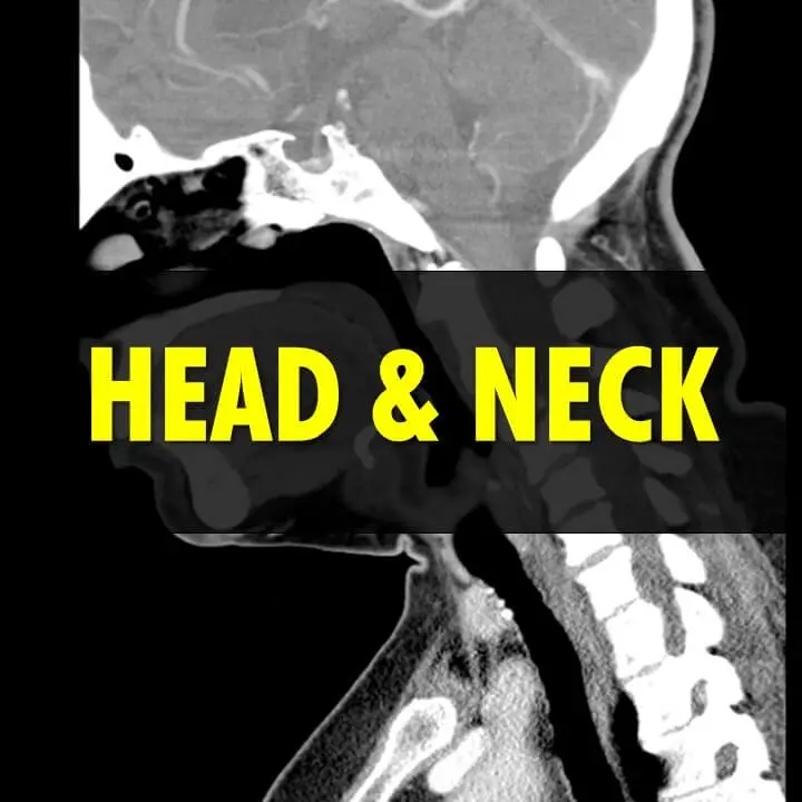 Radiology Vibes | Online Learning Platform For Radiologists.