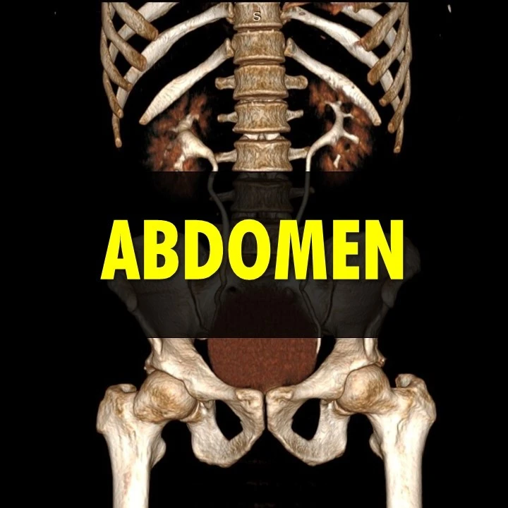 Radiology Vibes | Online Learning Platform For Radiologists.