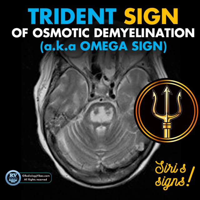 Radiology Vibes | Online Learning Platform For Radiologists.